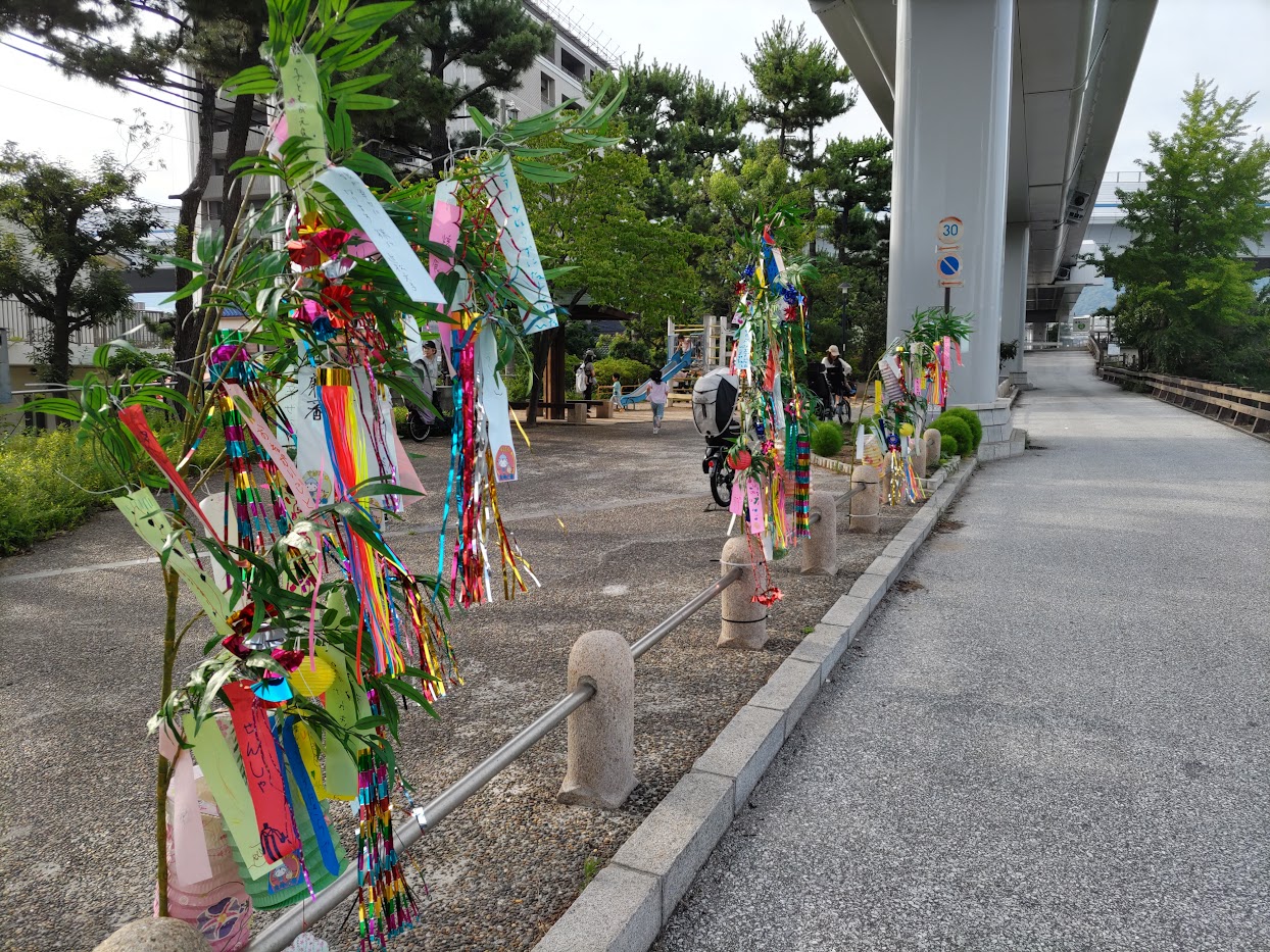夕日にキラキラ～ | Shell-Beans
