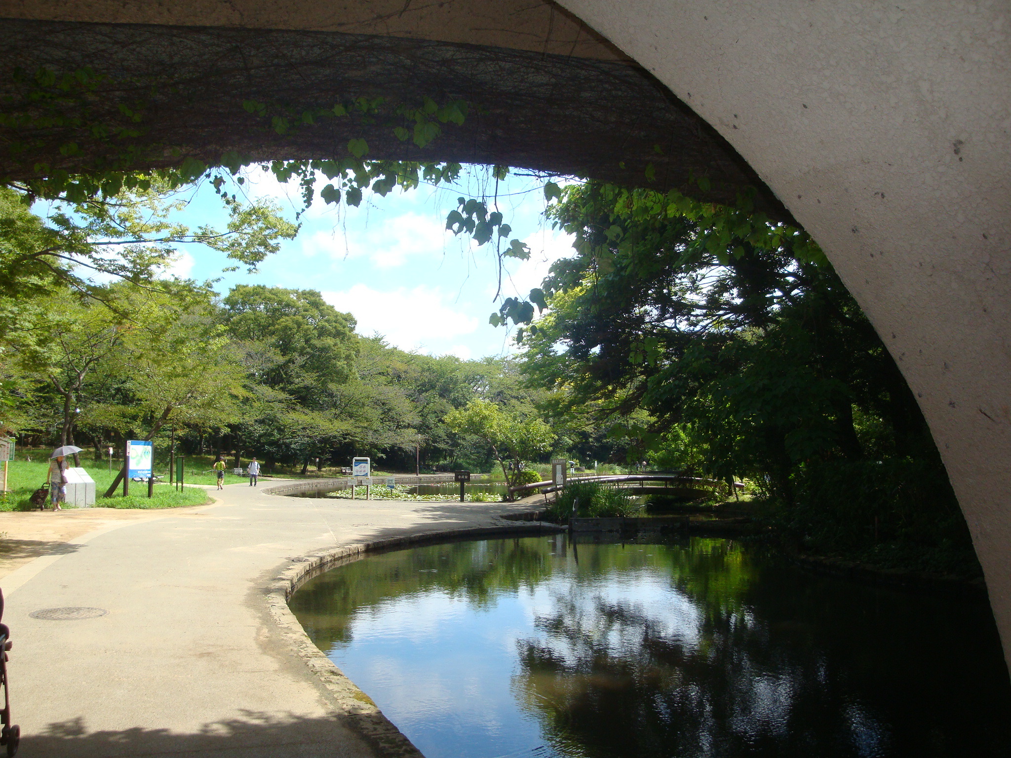 朝の空に～ | Shell-Beans