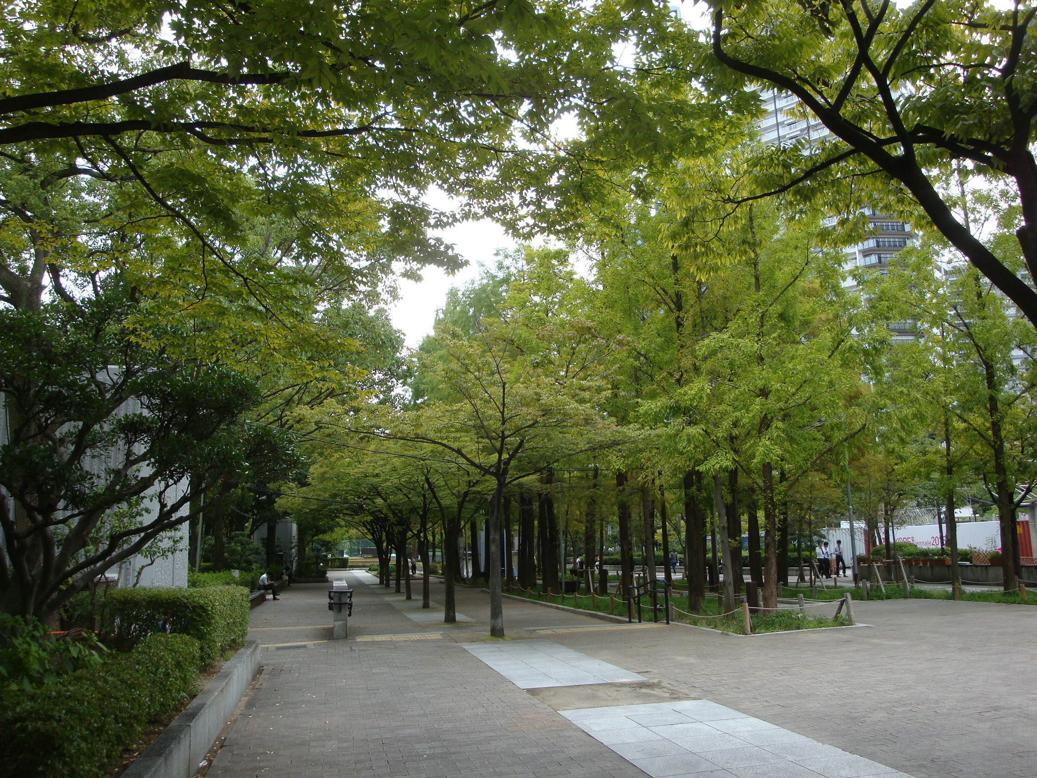 やっと～ | Shell-Beans