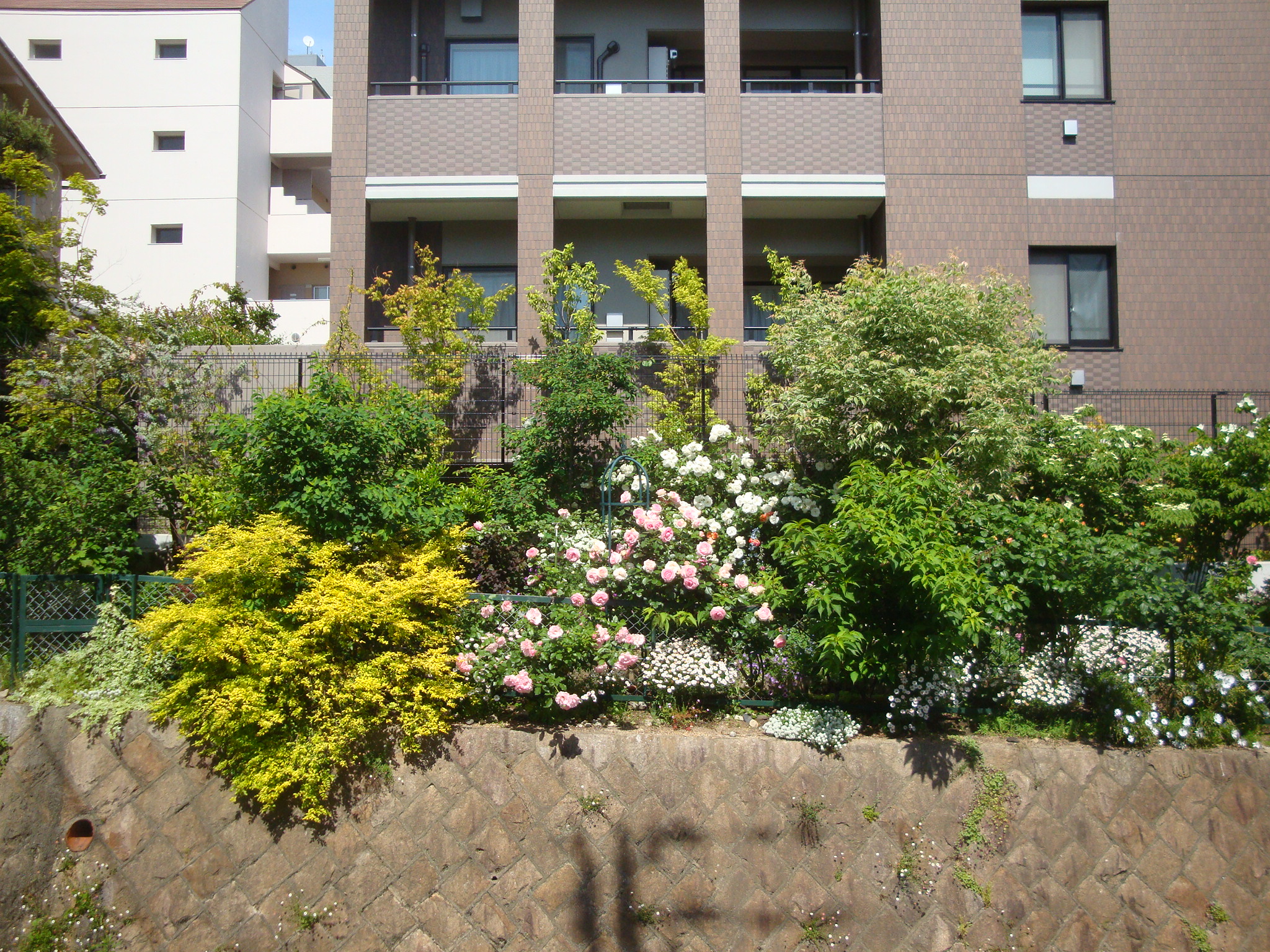 そうなの… | Shell-Beans