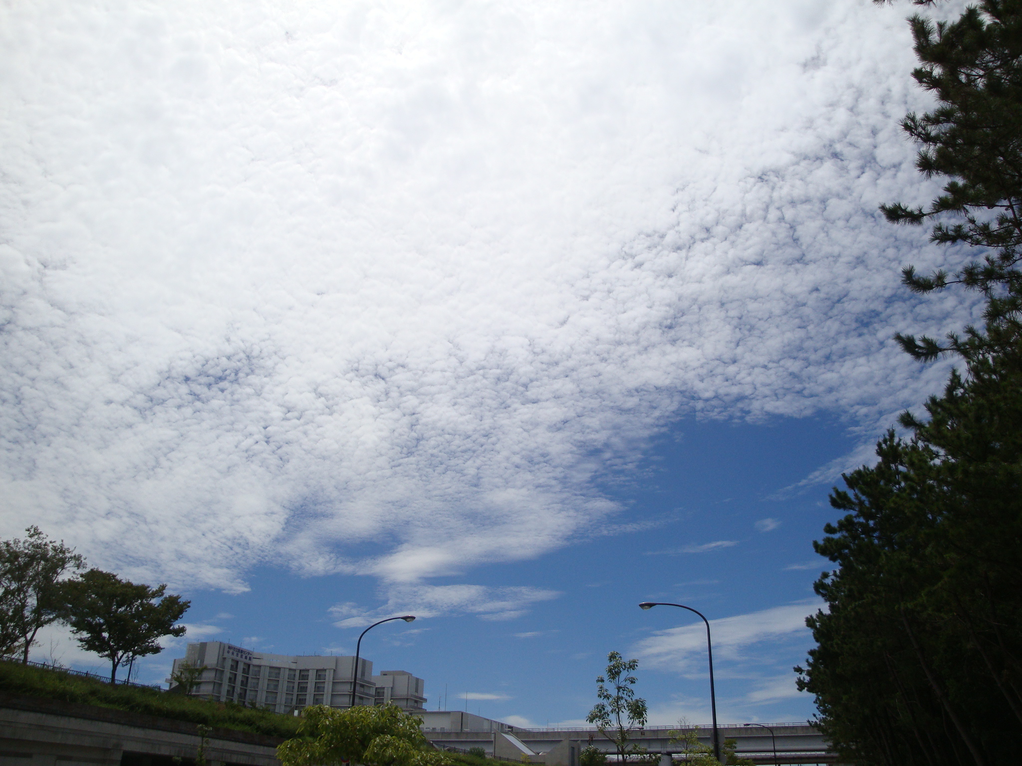 ついに… | Shell-Beans