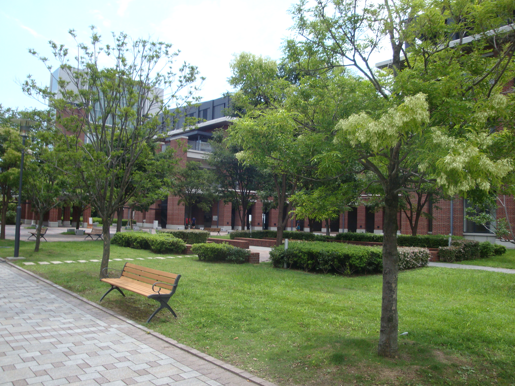 久しぶりの… | Shell-Beans