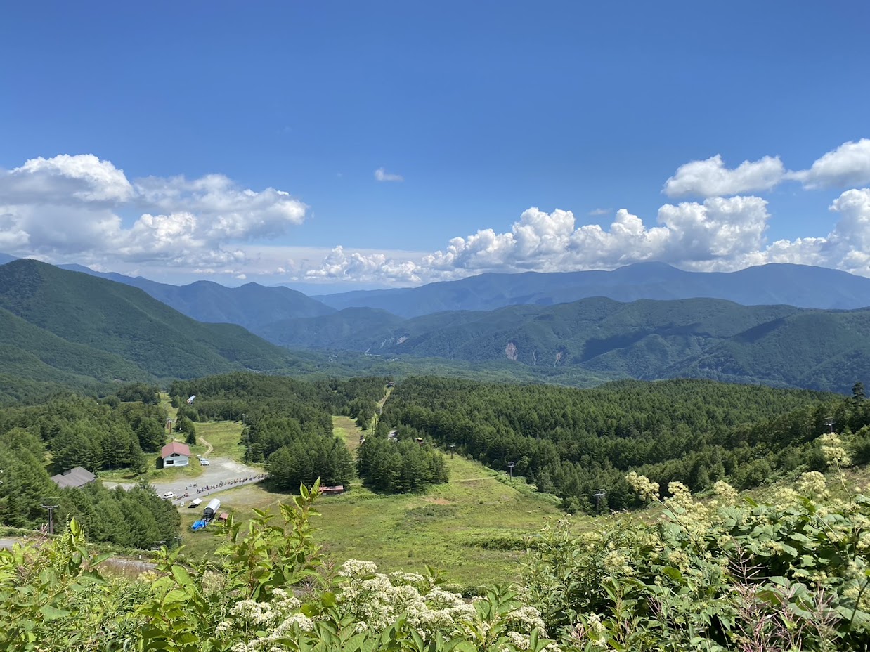 偶然… | Shell-Beans